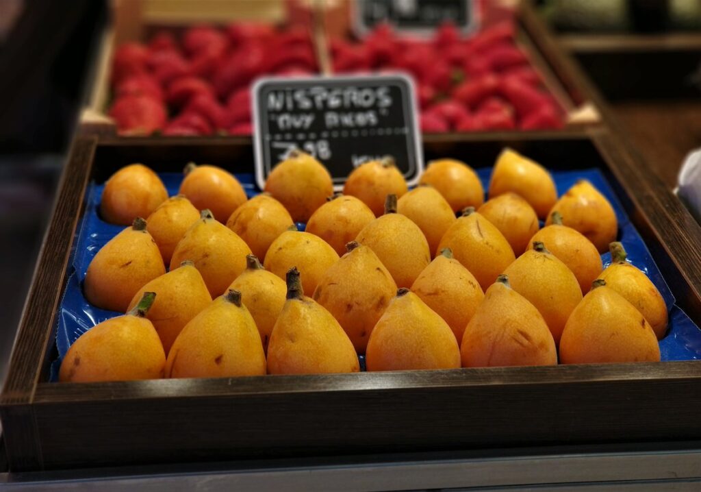 NÍSPERO: Cómo cultivarlo, cualidades, recetas y más