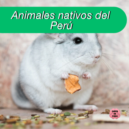 Más de 50 ANIMALES NATIVOS DEL PERÚ y sus características
