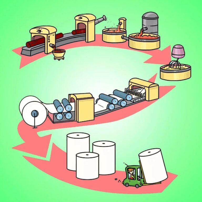 Aprende CÓMO SE HACE EL PAPEL a partir de un árbol y con reciclaje