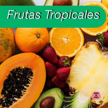 16 FRUTAS TROPICALES y todas sus propiedades