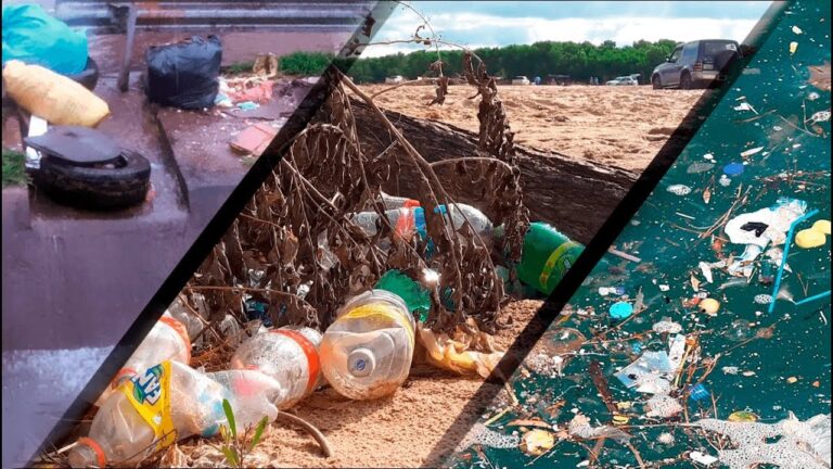 Conoce cuáles son los RESIDUOS SÓLIDOS y aprende a clasificarlos