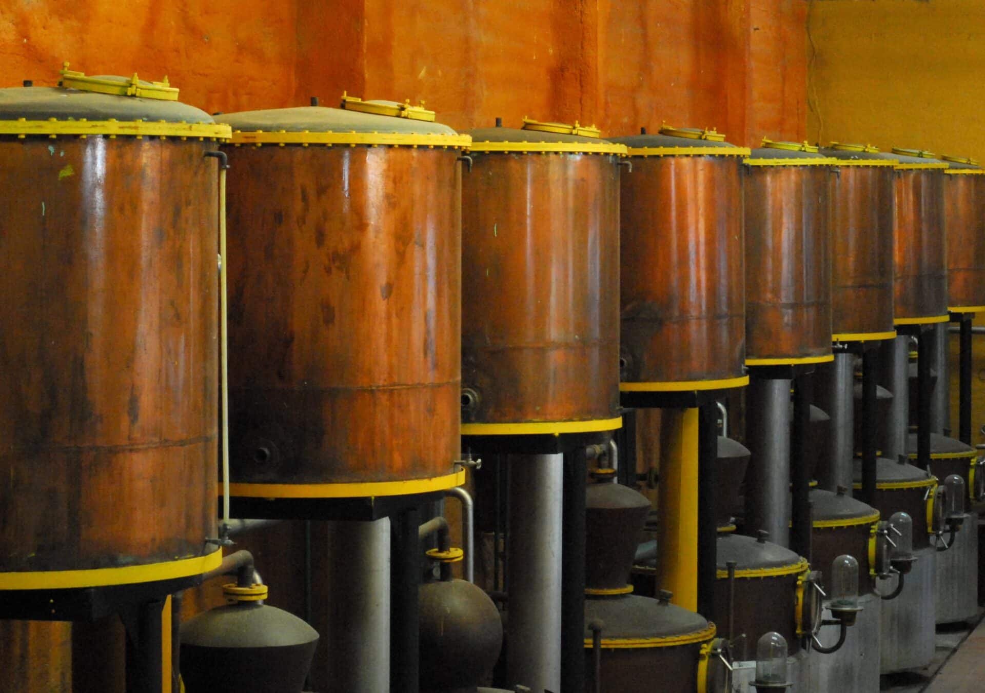 DESTILAR VINO: PROCESO y TÉCNICAS IMPRESCINDIBLES