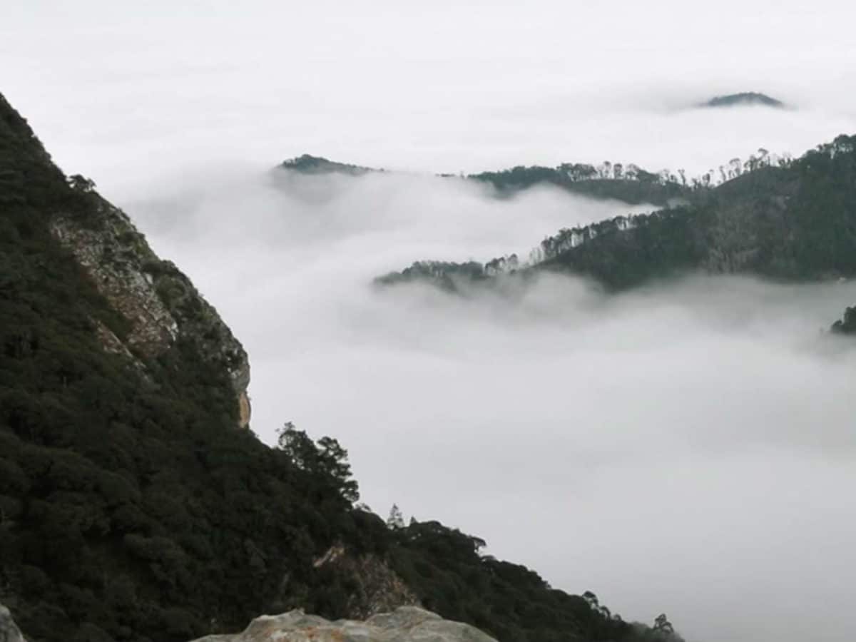 Tipos de ECOSISTEMAS DE MÉXICO, características, ejemplos y más