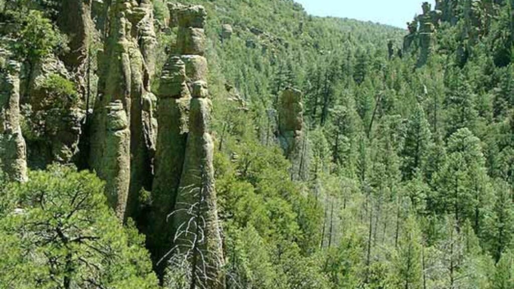 Tipos de ECOSISTEMAS DE MÉXICO, características, ejemplos y más
