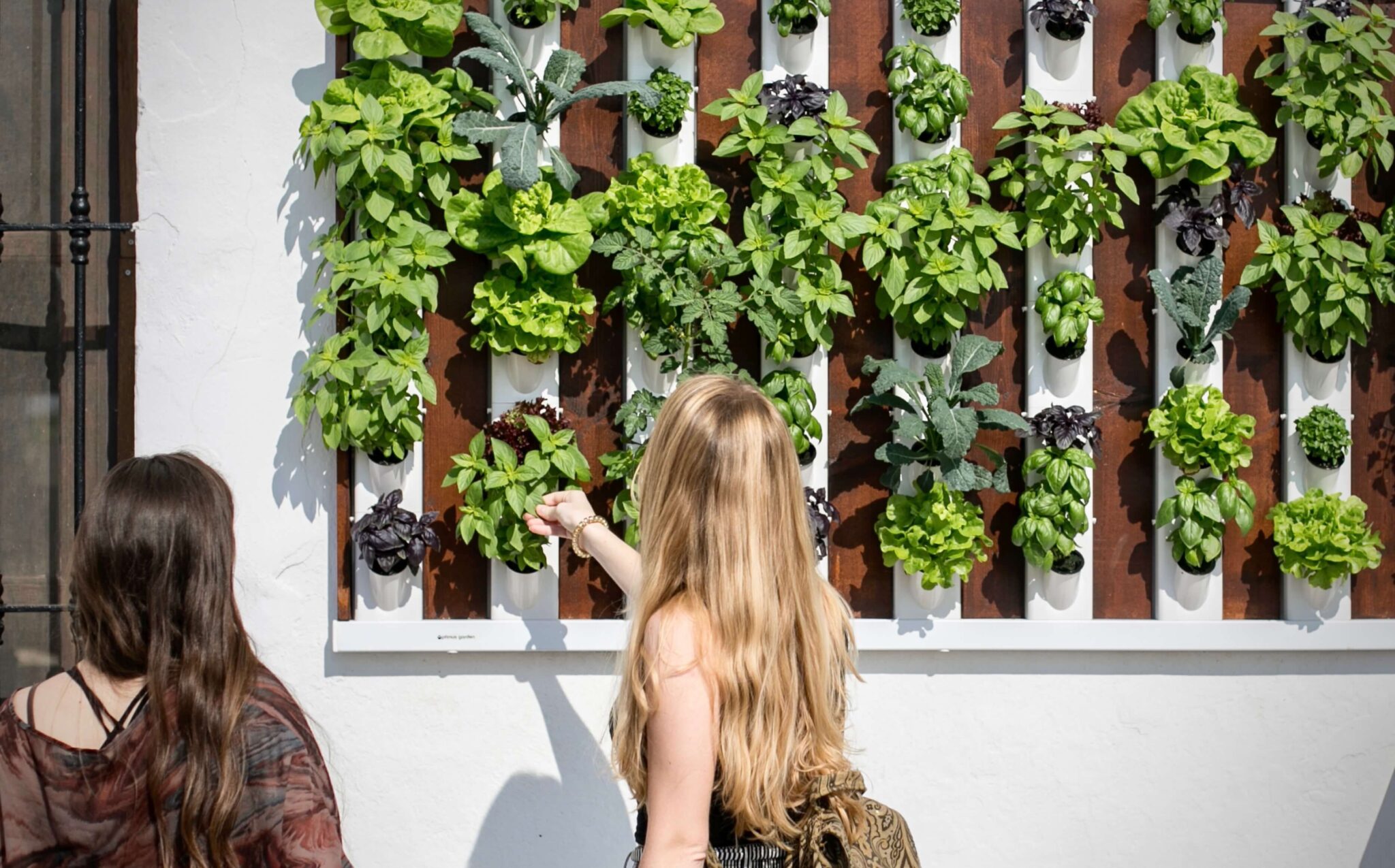 HUERTA VERTICAL, descubre cómo crear una en tu hogar y más