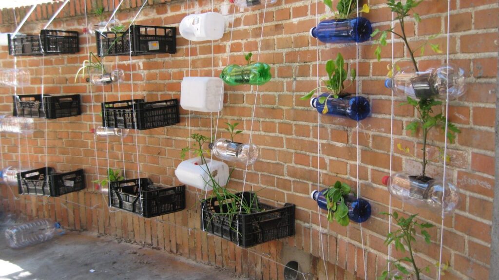 HUERTA VERTICAL, descubre cómo crear una en tu hogar y más