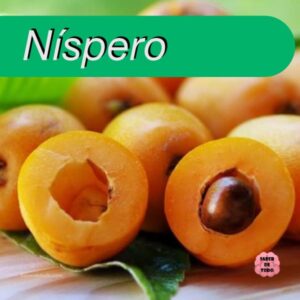 NÍSPERO: Cómo cultivarlo, cualidades, recetas y más