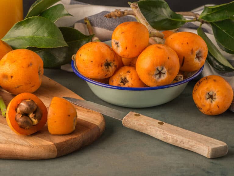 NÍSPERO: Cómo cultivarlo, cualidades, recetas y más