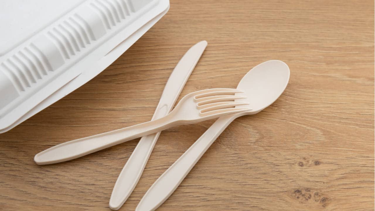 PLÁSTICOS BIODEGRADABLES, ¿qué son?, tipos, ejemplos y más