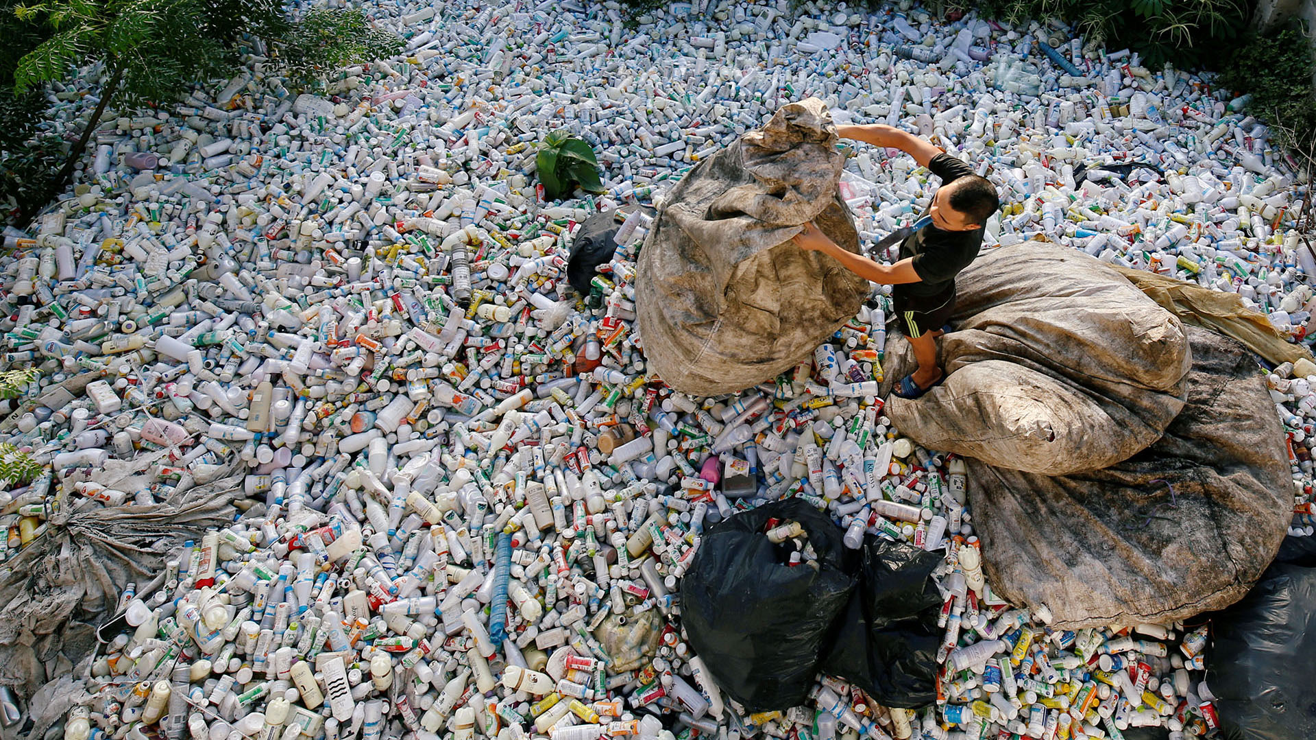 PLÁSTICOS BIODEGRADABLES, ¿qué son?, tipos, ejemplos y más