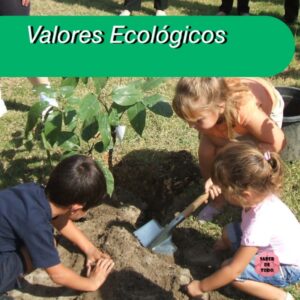 VALORES ECOLÓGICOS, conservacionistas y ambientalistas, todo aquí